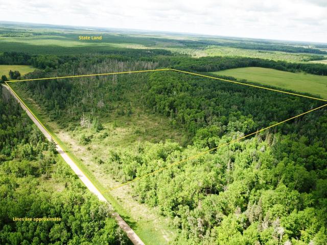 TBD1 Mud Lake Road