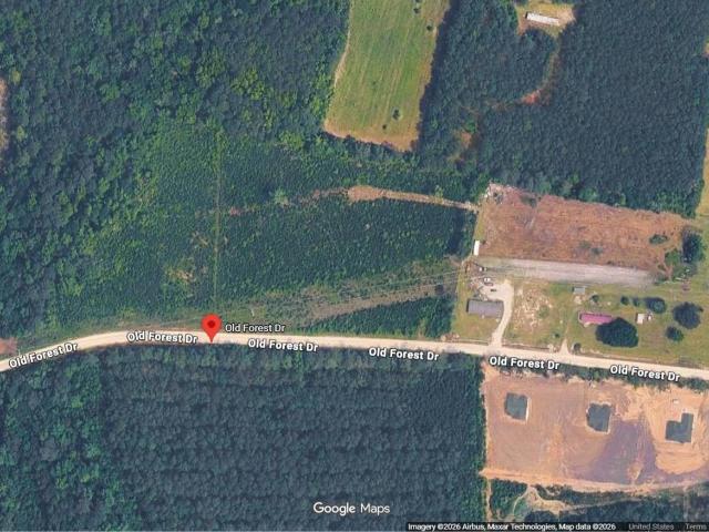 TBD1 Old Forest Dr