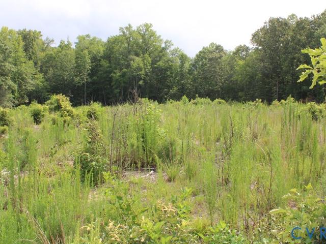 TBD1 Black Branch Road