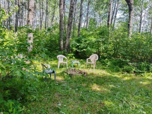 Tbd1 2 Orr Buyck Rd, Buyck, MN 55771