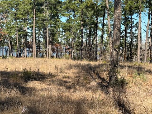 TBD28 Private Road 6028