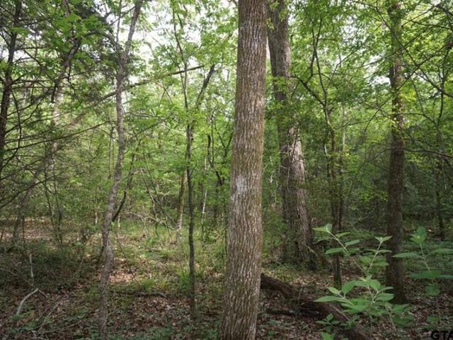 Tbd2 County Road 1200, Malakoff, TX 75148