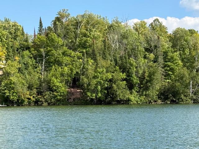 TBD2 Long Lake Road