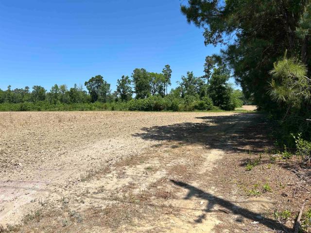 TBD2 Pleasant Hill Dr