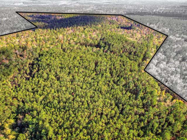 Tbd2 Sc 23, Edgefield, SC 29824 | MLS #98211