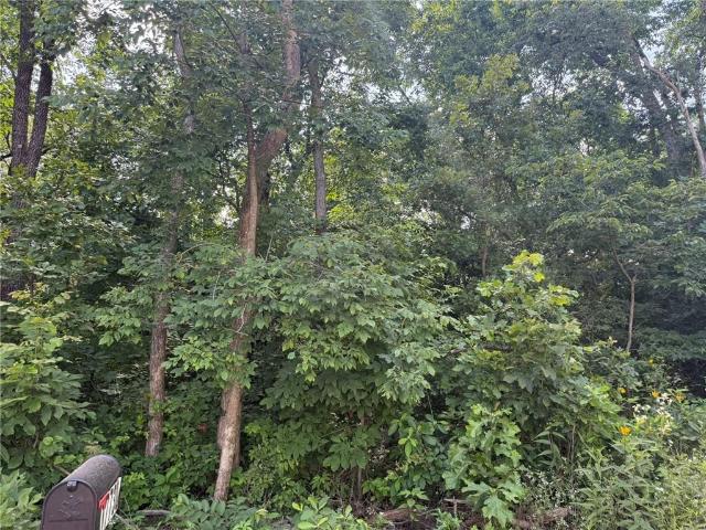 Tbd 3.54 acres Bethel Road