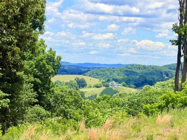 Tbd 3.28 acres Cox Road