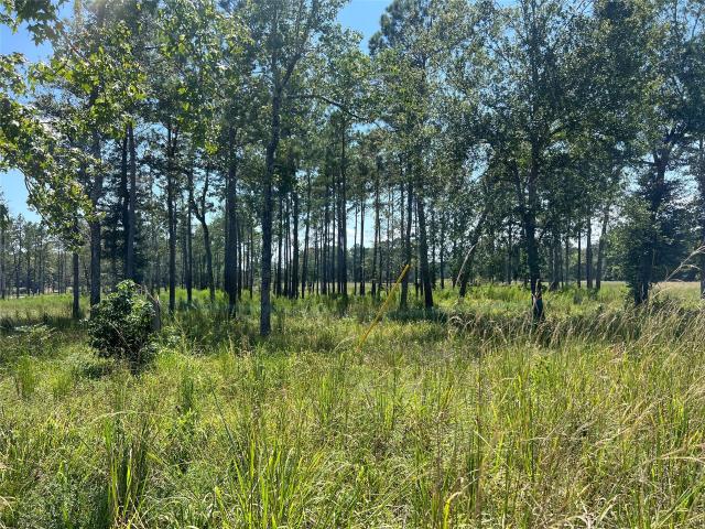 TBD 3 3152 Road