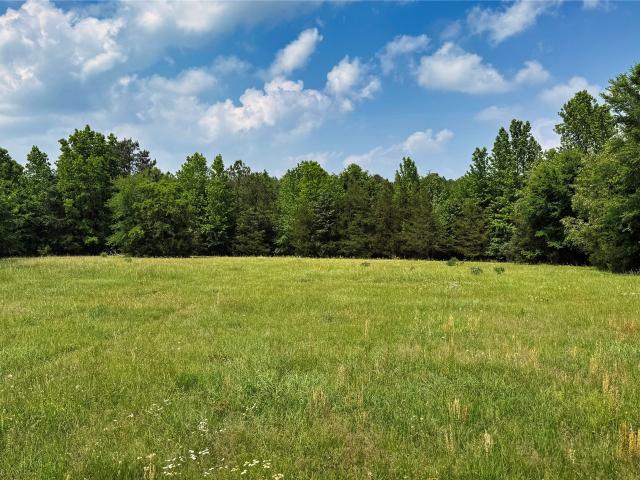 TBD #3 County Road 477