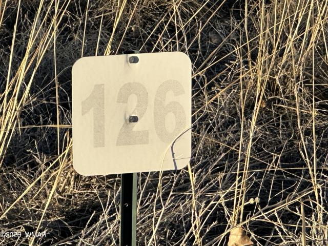 Tbd 3rd place lot 126