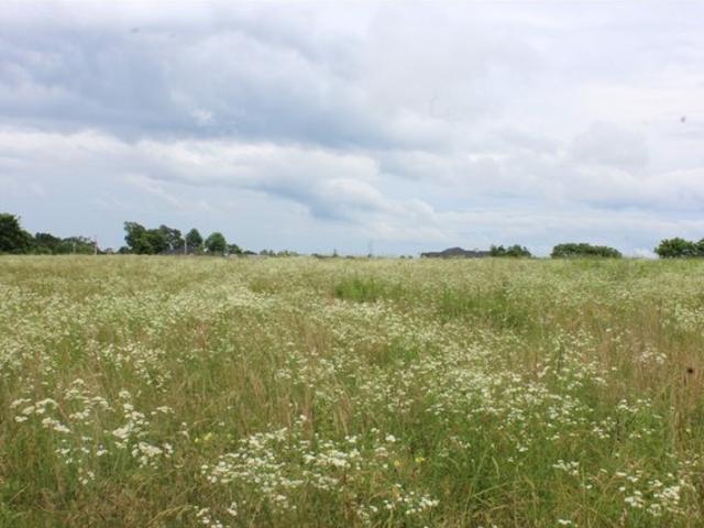Tbd 000 W AR Highway 72, Gravette, AR 72736