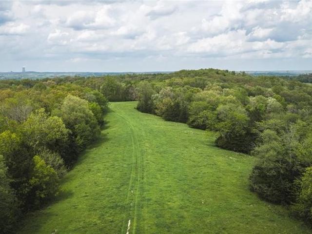 Tbd 00 County Road 274 Unit 62, Chamois, MO 65024