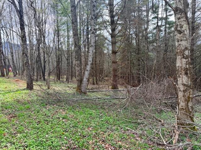 Tbd 0.834 Crestview Drive West