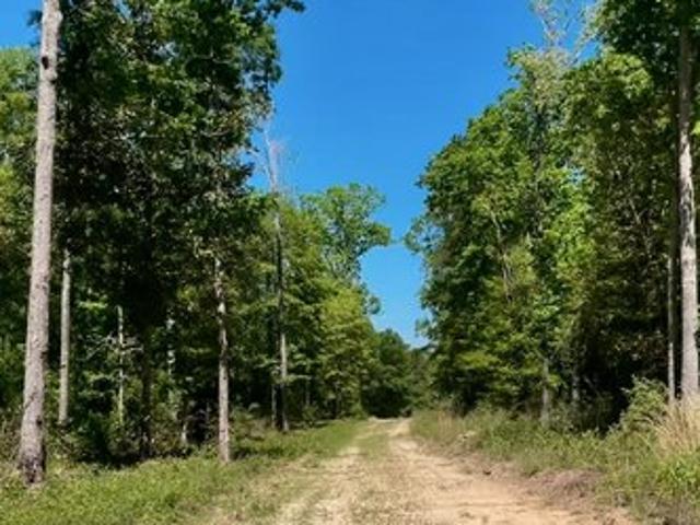 Fm 1005, Jasper, TX 75951