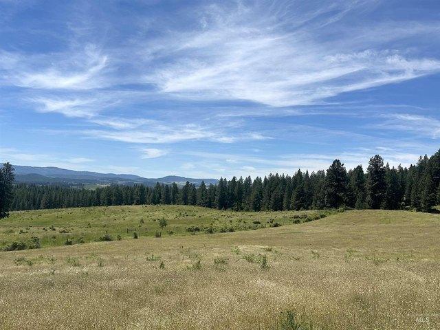 Tbd 10 / Ac Gold Hl, Princeton, ID 83857