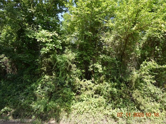 TBD 1240 Road