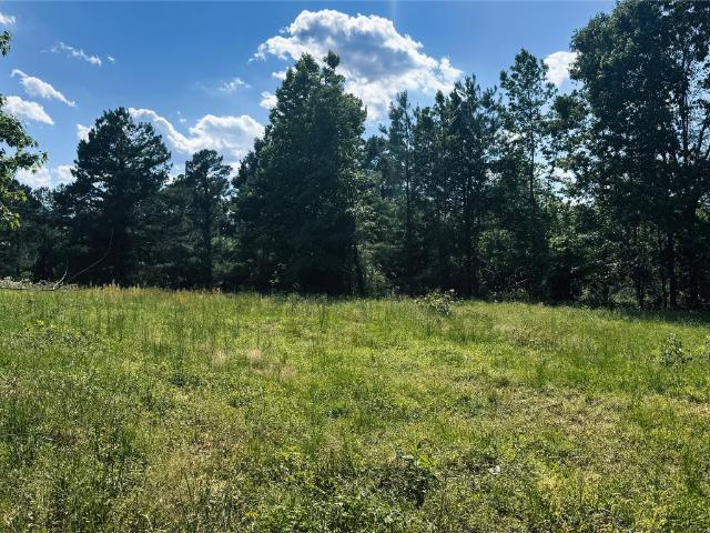 TBD #12 County Road 475A
