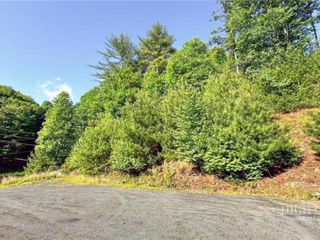 TBD 13 Peck Peak Rd, Jefferson, NC 28640