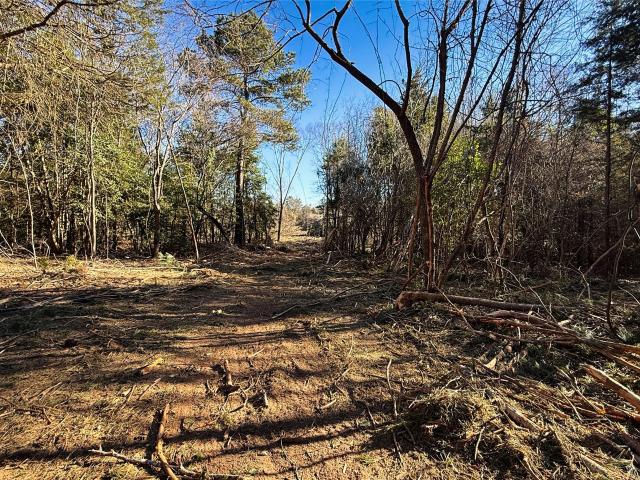 TBD #14 County Road 475A