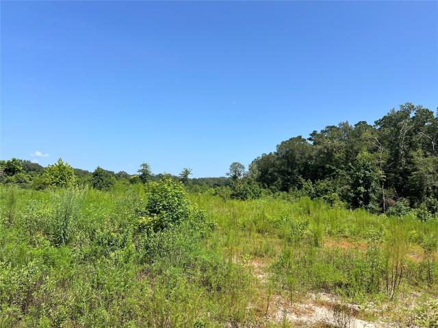 TBD 14 Upper Leggett Road