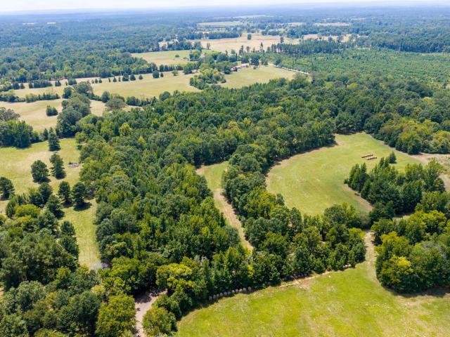 Tbd 15. Ac Tract Shandy Road