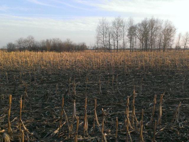 TBD 16 005 0 Mille Lacs County