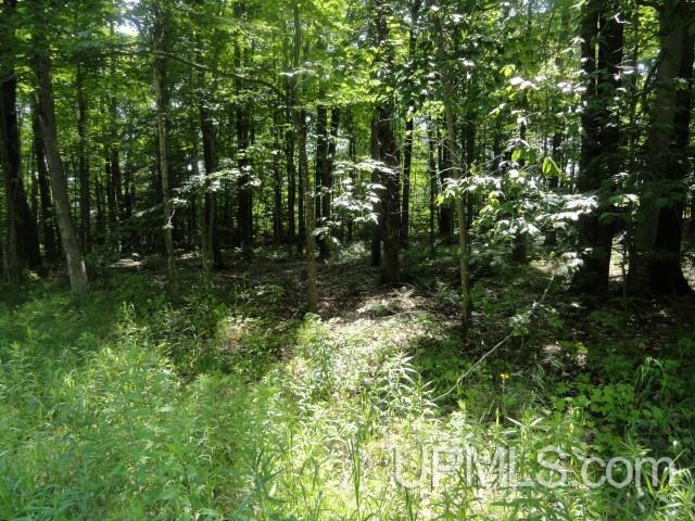 TBD 16 Mile Lk Road