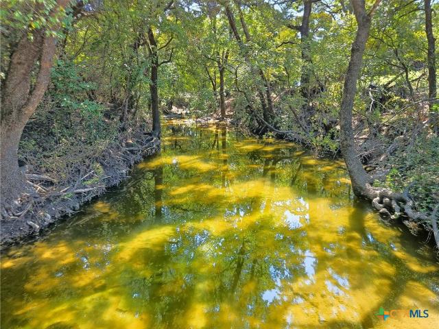 TBD 176 Acres FM 116 Road