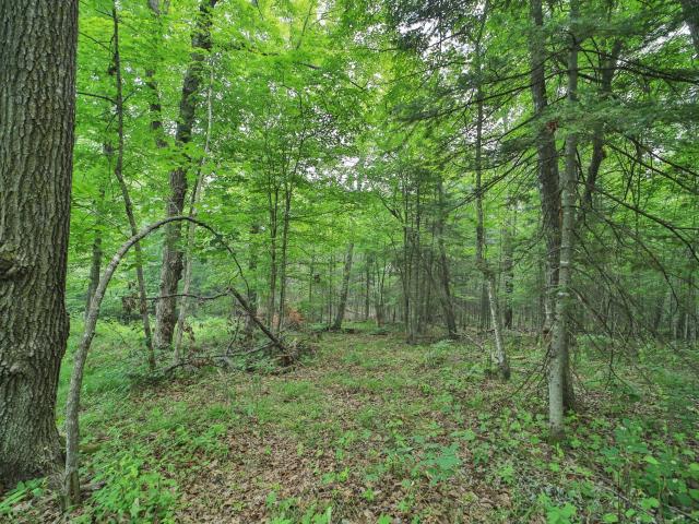 TBD Garden Ln Lane