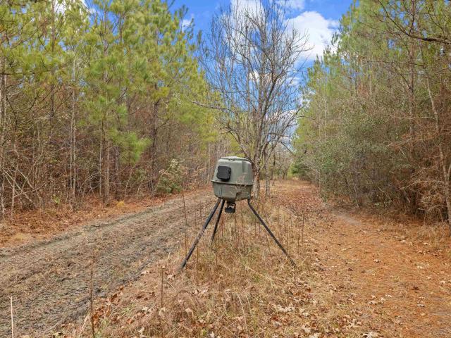 TBD 183 Acres Blakely Rd