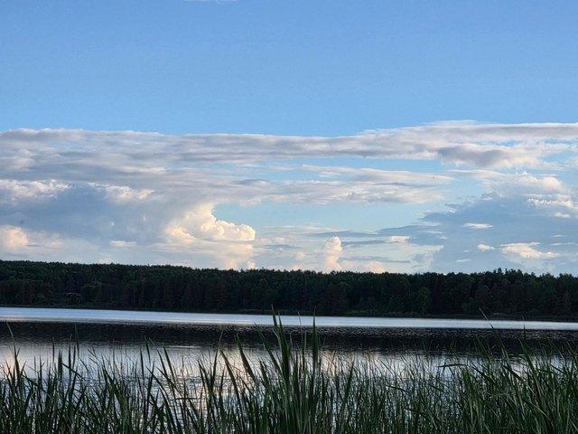 Tbd 190th St Lot 3, Bagley, MN 56621