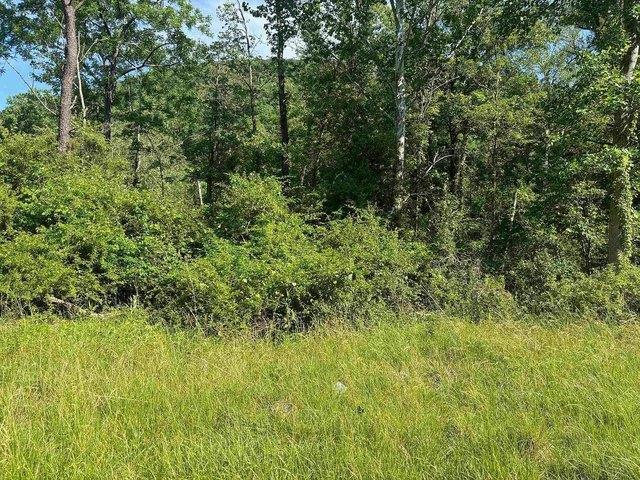 Tbd 1 99 Parkersburg Tpke, Swoope, VA 24479