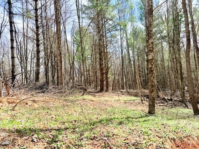 Tbd 1.014 acre Crestview Drive West