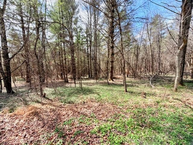 Tbd 1.014 acre Crestview Drive West