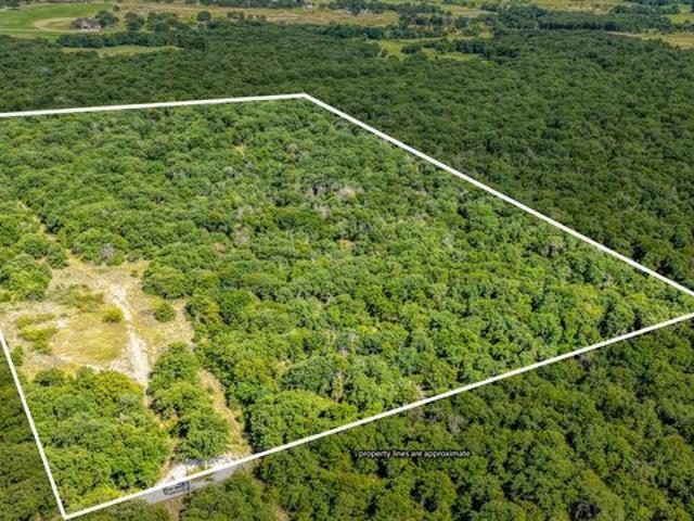 Tbd 1 Timber Oaks Ln, Boyd, TX 76023