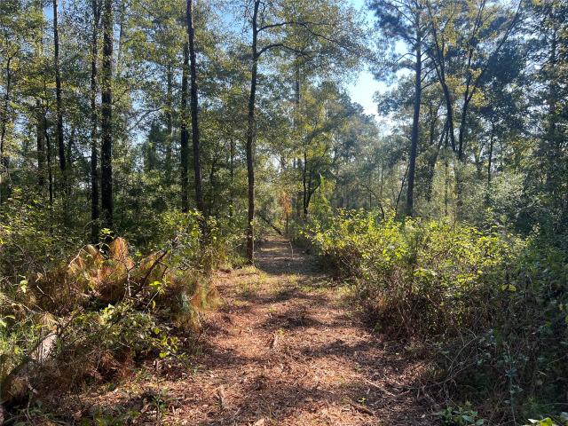 TBD 1 Hardy Bottom Road