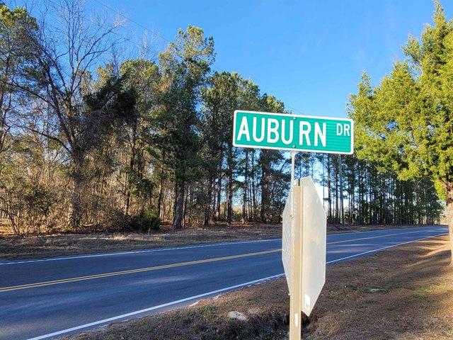 Tbd 1 Log Cabin Rd Lot Corner of Auburn Dr Lot 1 and Log Cabin Rd, Loris, SC 29569
