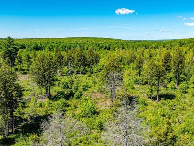 Tbd 1 Pelkie Rd, Pelkie, MI 49958
