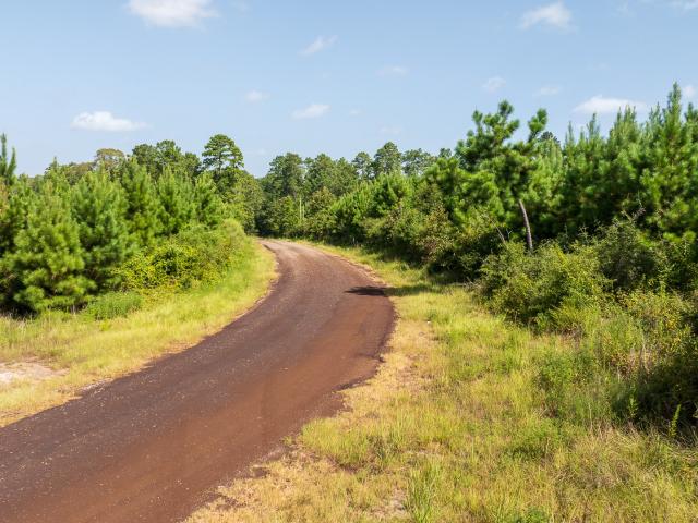 TBD 1 Sandy Creed Rd