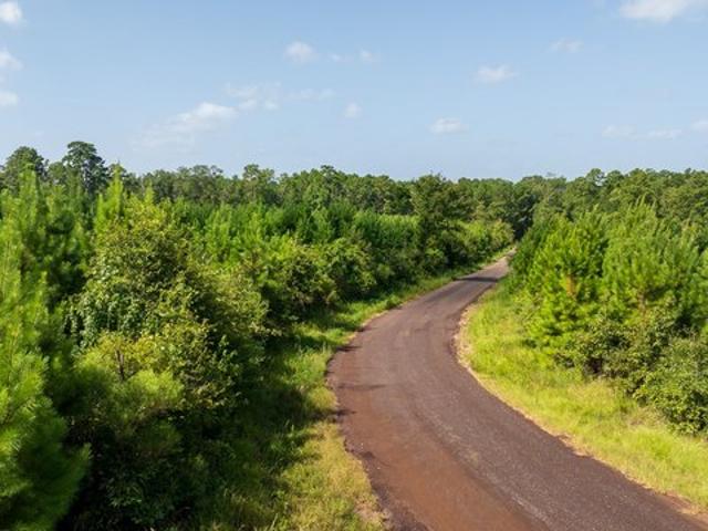 Tbd 1 Sandy Creed Rd, Zavalla, TX 75980