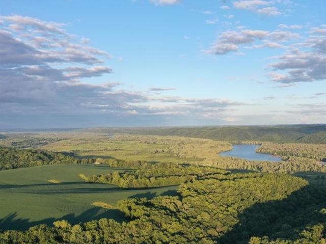 Tbd 208 Acres Cottontail Ln, Wauzeka, WI 53826