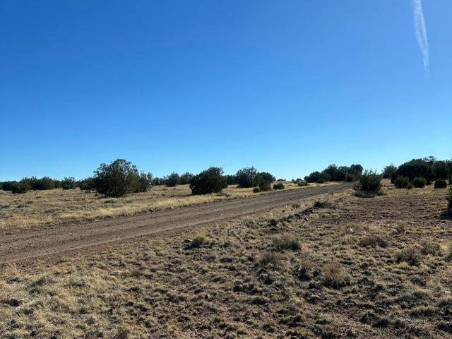 TBD 201 29 C