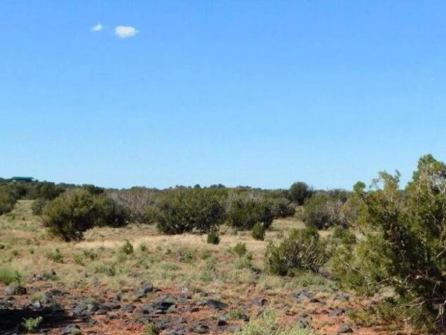 Tbd 201 35 b, Concho, AZ 85924 | MLS #6756 | Compass