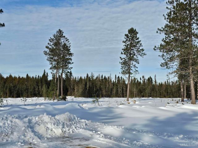Tbd 220 Acres off Co Rd CF Road