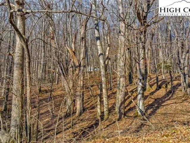 Tbd 23 Locust Cir, West Jefferson, NC 28694