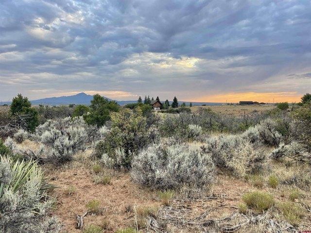 Tbd 26 4 Rd Lot 12, Dolores, CO 81323