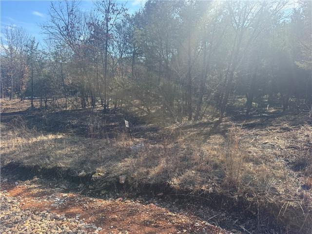 Tbd 2.43 Acres County Rd 3271