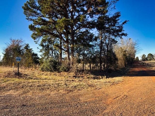TBD #2 County Road 477
