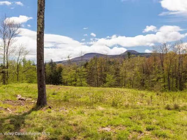 Tbd 2 Legg Road, Tannersville, NY 12485 MLS# 20242483