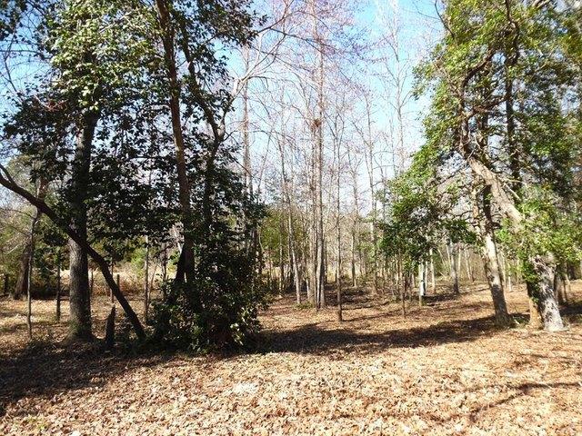 Tbd 2 Maple Dr, Murchison, TX 75778